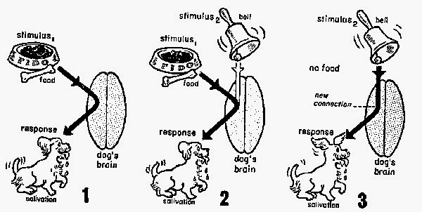 Siân Campbell AS Media Blog: February 2014